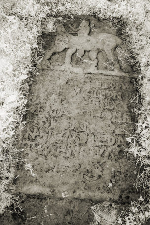 Glenade Lake and the legend of the Dobhar-chú – Tony O'Neill
