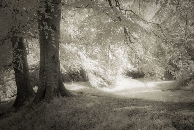 Tullyhogue Fort – Tony O'Neill