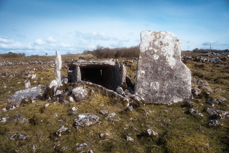 Megalithic Ireland – Tony O'Neill